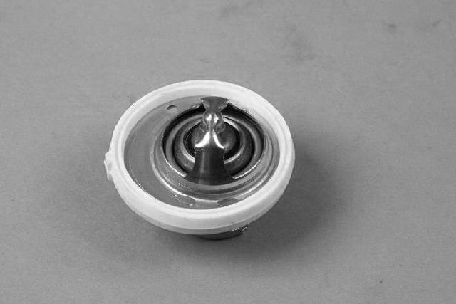 Dodge Raider Thermostat | OEM Parts Quick