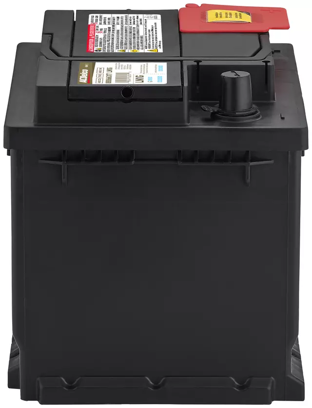 1998-2024 ACDelco Battery LN1G | TascaParts.com