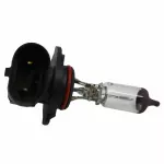 XL3Z-13466-AA - Fog Lamp Bulb 1999-2019 Ford | Big 3 Auto Parts