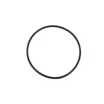 O Ring 68036474AA | Mopar America
