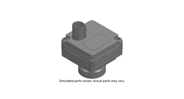 Tailgate for 2021 GMC Sierra 1500 | GMPartsDirect.com