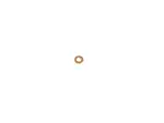 2019-2024 Ram Fuel Injector Seal 68447753AA | My Mopar Parts