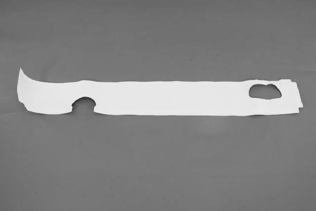 2009-2010 Dodge Challenger Front Door Decal, Left 1LW69RXFAA | Mopar ...