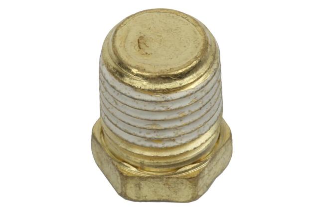 Multi-Purpose Threaded Plug 15957435 | GMPartsDirect.com