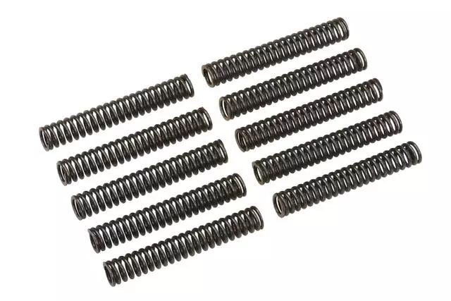 Shop Genuine GM Valves and Valve Springs | GMPartsDirect.com
