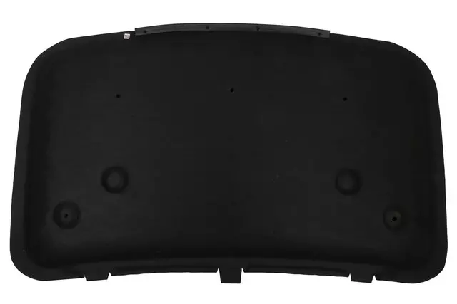 2015-2022 Chevrolet Colorado Hood Insulator 84108317 GM | GMPartsDirect.com