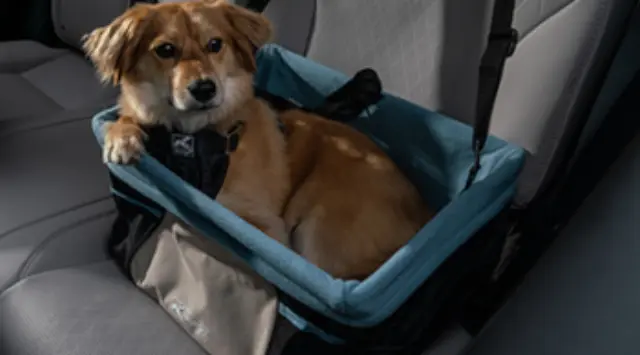 PTN59-89239 - Kurgo Heather Dog Booster Seat 2023-2024 Toyota | Group 1 ...