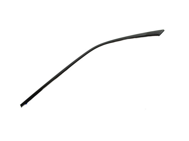 2014-2023 Chrysler 300 Day Light Opening Molding, Left 68224371AG ...