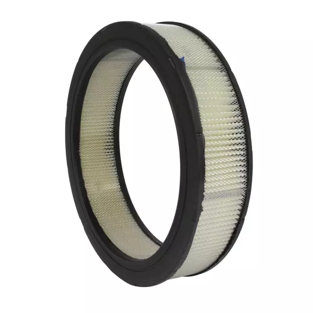 Ford LTD Filters | QuirkParts