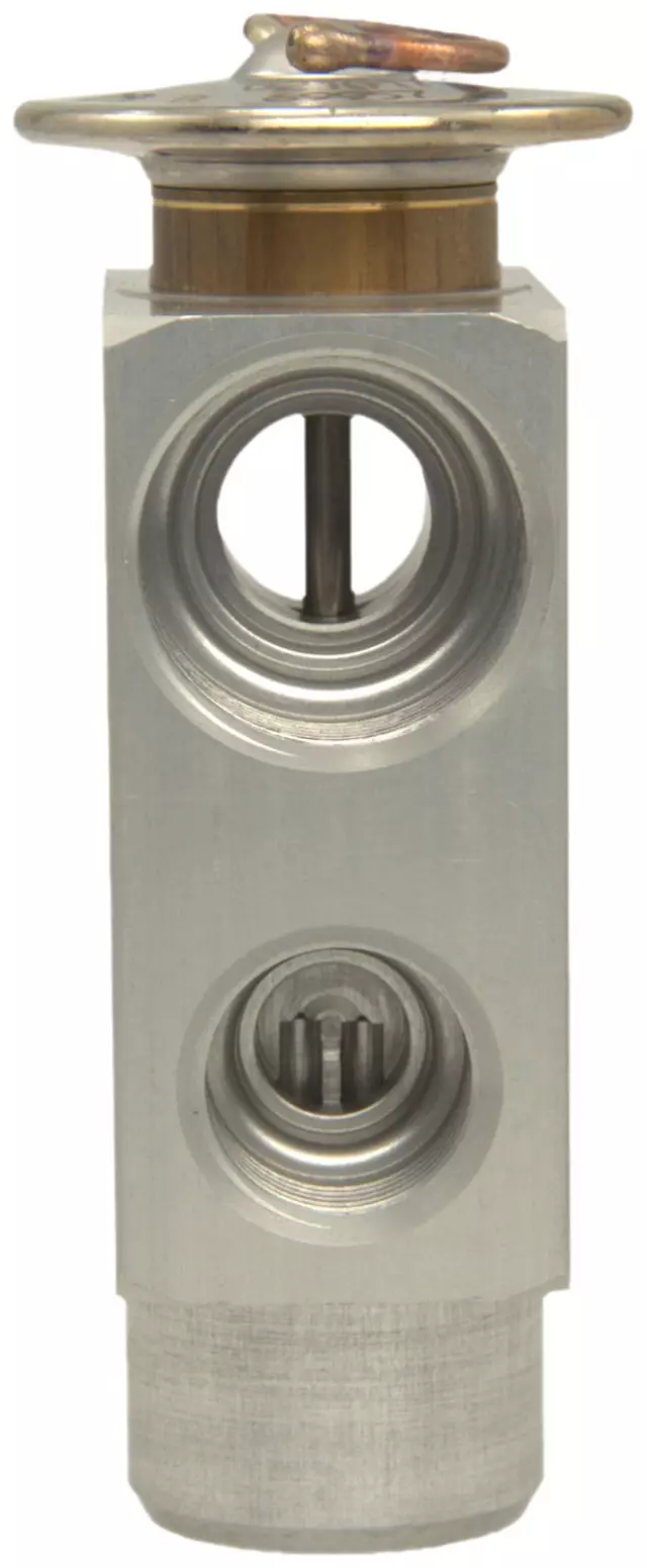 Valve 19189765 | TascaParts.com