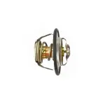 2007-2024 Mopar Thermostat 68534176AA | Mopar eStore