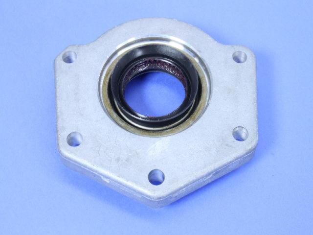 Case, Extension, Oil Pan, and Indicator (Dipstick) for 2020 Ram ...