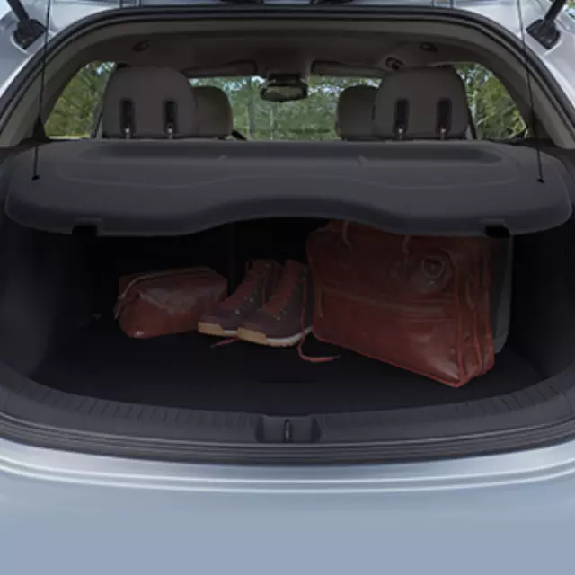 Buy New Cargo Security Shades for GM | GMPartsNow