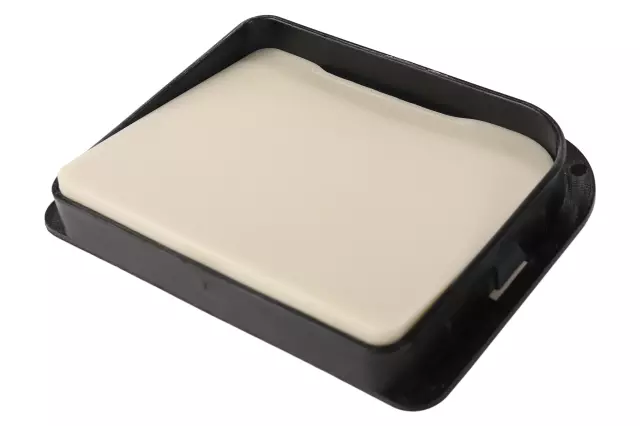 Cowl for 2024 GMC Sierra 1500 | GMPartsDirect.com