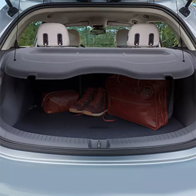 Buy New Cargo Security Shades for GM | GMPartsNow