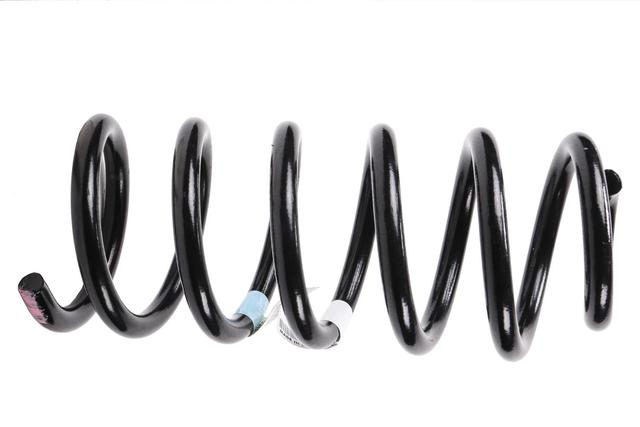 2018-2019 Cadillac XTS Rear Coil Spring 84160496 | GMPartsDirect.com