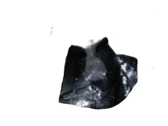 F8DZ-19E746-CA - AC Line Retainer 2003-2017 Ford | Ford Parts Direct