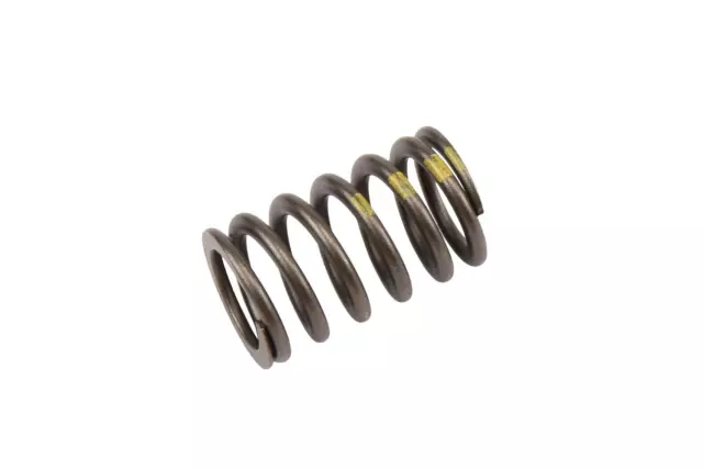 Shop Genuine GM Valves and Valve Springs Online | GMPartsDirect.com