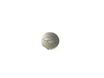 2019-2023 Dodge Wheel Center Cap 6CZ27NTSAA | My Mopar Parts