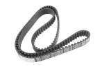 Shop Timing Belts & Chains | GMPartsDirect.com