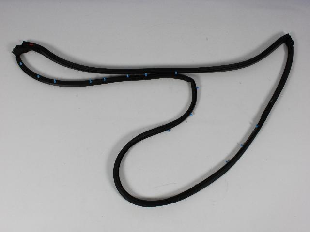 2011-2022 Dodge Charger Front Door Mounted Weatherstrip, Left ...