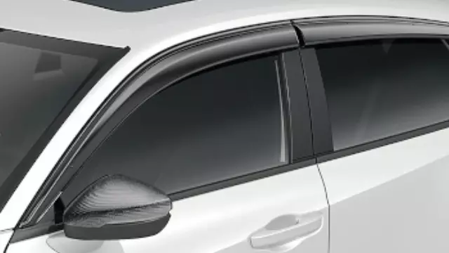 Door Visor