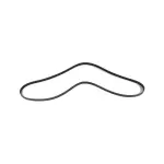2014-2022 Mopar Serpentine Belt 4627534AA | Mopar eStore