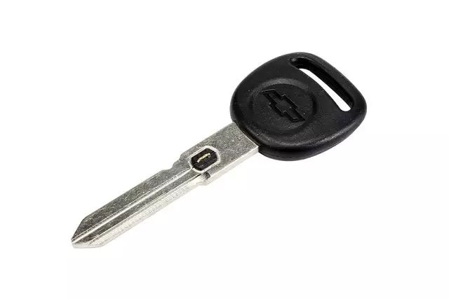 Door Lock and Ignition Key 02852561 | QuirkParts
