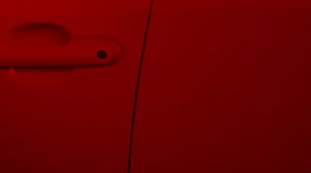 2019-2025 Toyota RAV4 Door Edge Guards, Ruby Flare Pearl PT936-42190-03 ...