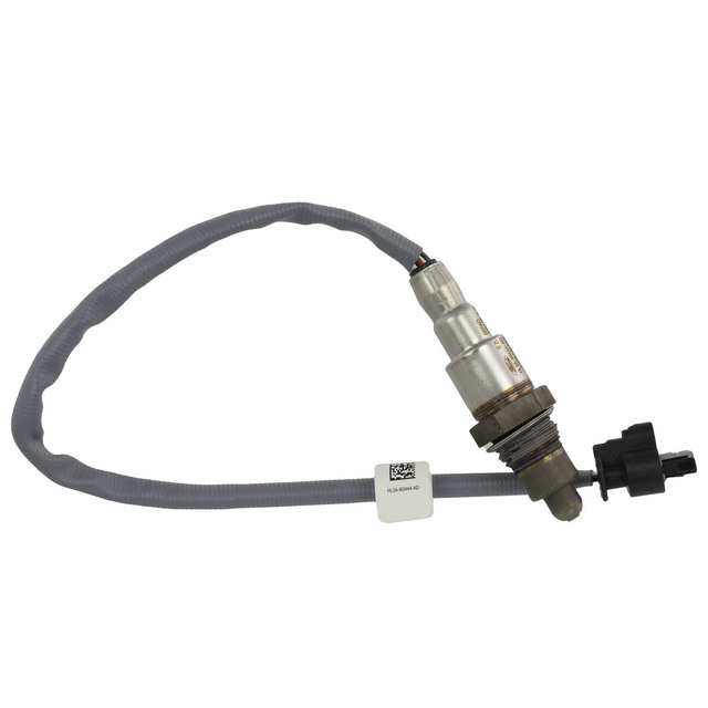 Exhaust Gas Oxygen Sensor