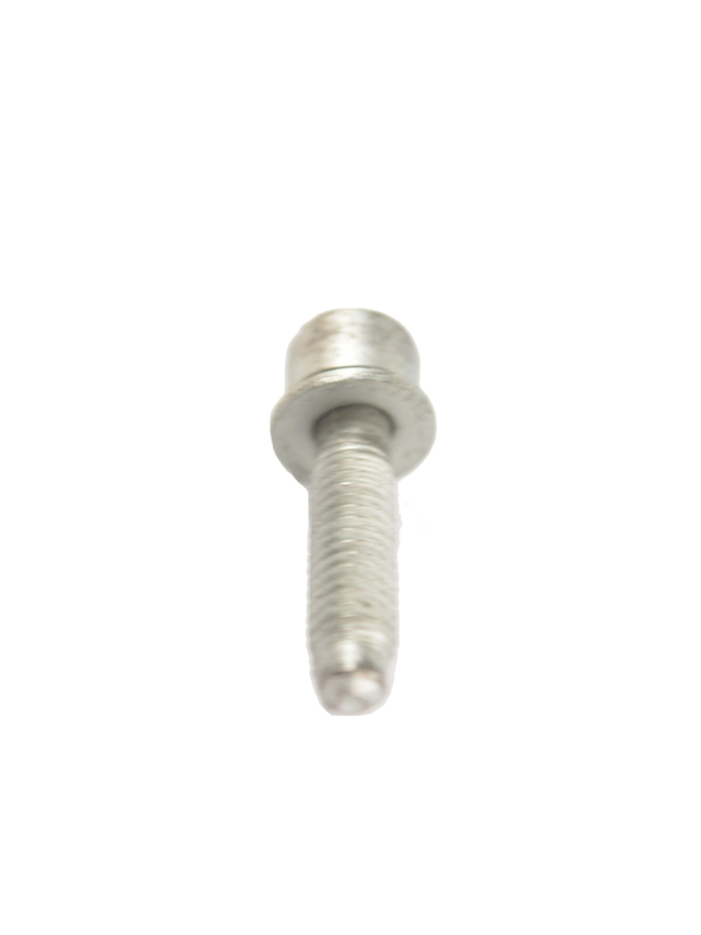2014-2021 Mopar Sun-Visor Screw 6106104AA | TascaParts.com