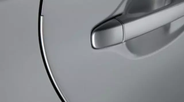 2010-2024 Toyota 4Runner Door Edge Guards, Classic Silver Metallic ...