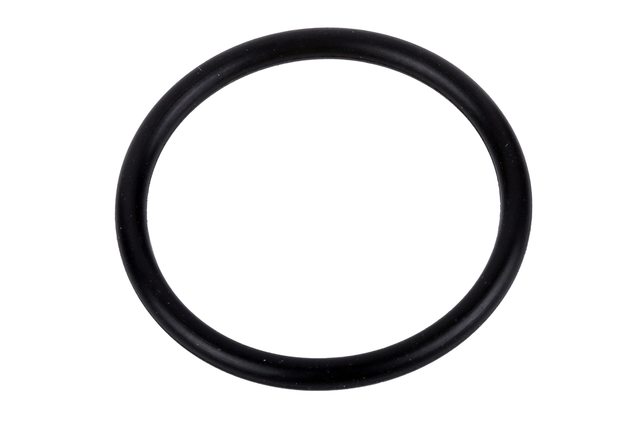 Transfer Case Input Shaft Seal 23247378 | GMPartsDirect.com