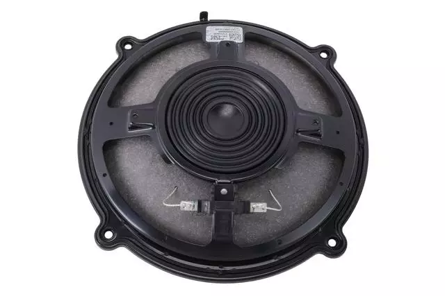 Rear Radio Speaker 84514385 | GMPartsDirect.com