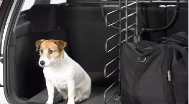 Buy Genuine Volvo Parts & Accessories Online | Volvo Parts Counter