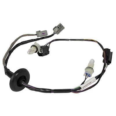 Socket And Wire Assembly Lamp DS7Z-13412-B | TascaParts.com