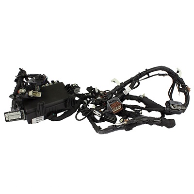 Wire Assembly HL3Z-12A581-ACM | TascaParts.com