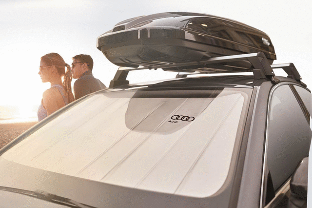 Audi a6 sunshade store
