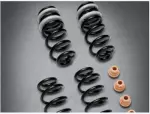 2018-2023 Dodge Durango Durango Performance Lowering Springs 77072488 ...