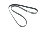 Buy Genuine OEM Power Steering Belts Online | Mopar-Direct