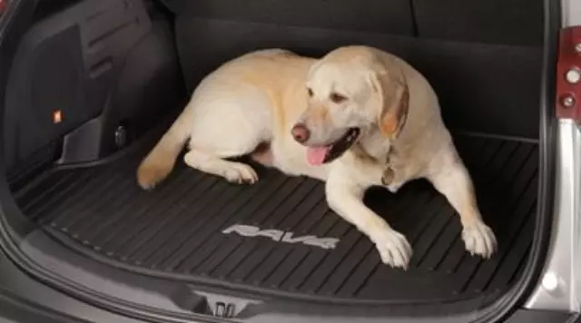 2006-2014 Toyota RAV4 Cargo Tray PT218-42061 | Toyota Parts Center