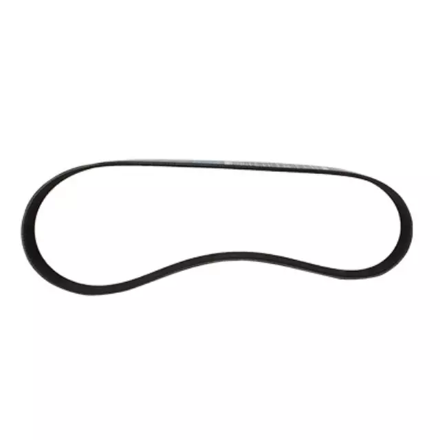 JK6-295 - Motorcraft™ AC Belt - 2018-2024 Ford Mustang | Lasco Auto Parts