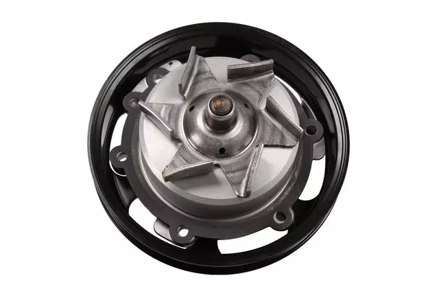 Water Pump Kit with Housing, Seals, Bearing, Impeller, Pulley, Gasket ...