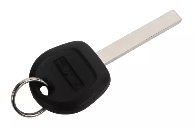 Door Lock and Ignition Key 13520332 | QuirkParts