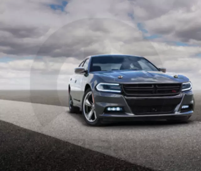 2015-2023 Dodge Charger OEM NEW Mopar 2015-20 Dodge Charger Grille ...