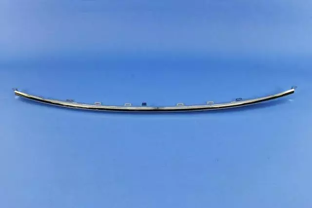 2014-2020 Dodge Durango Fascia Molding, Center 5113729AB | OEM Parts Online