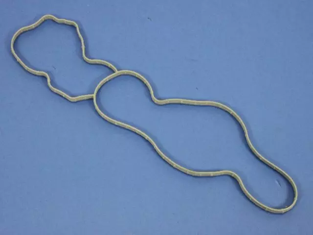 Water Pump and Related Parts for 2024 Ram 1500 | Mopar Estores