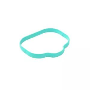 2016-2025 Mopar Intake Manifold Gasket 68232614AA | Mopar eStore