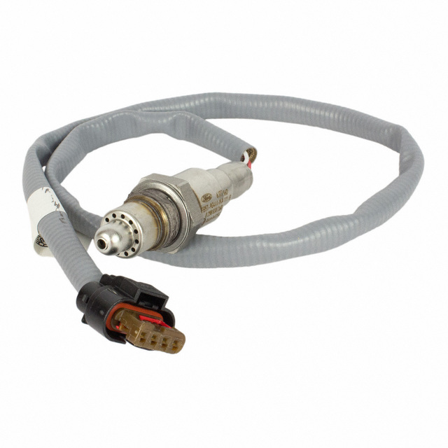 Exhaust Gas Oxygen Sensor