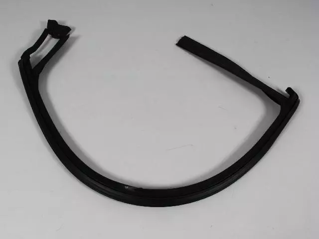 2012-2019 Fiat 500 Front Door Glass Run Weatherstrip, Left 68070049AI ...